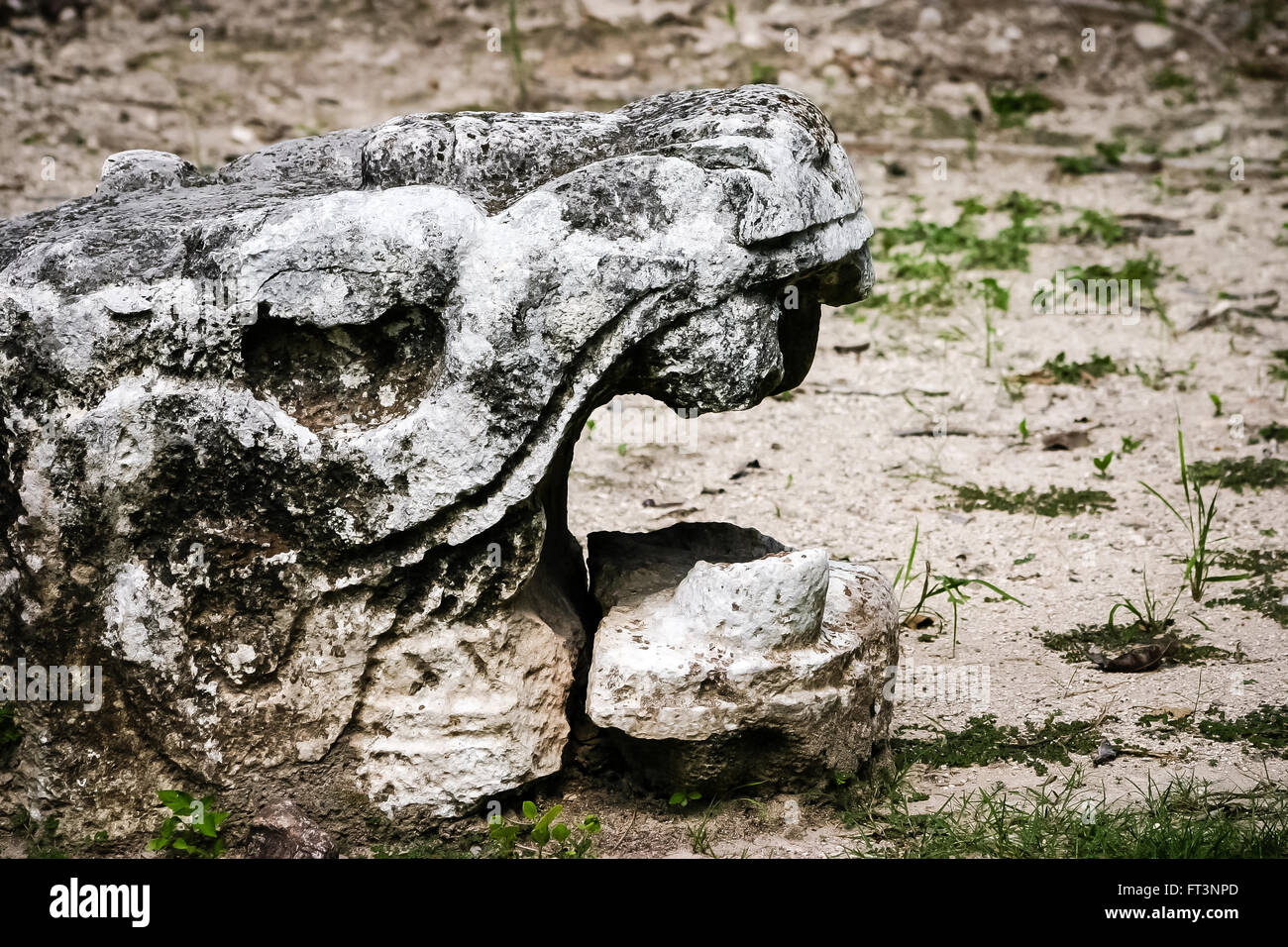 Snake head of Kukulkan pyramid at Chichen Itza, Mexico Stock Photo - Alamy