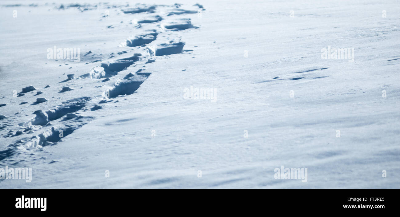 Deep footprints in fresh white illuminated snow at shallow angle Stock ...