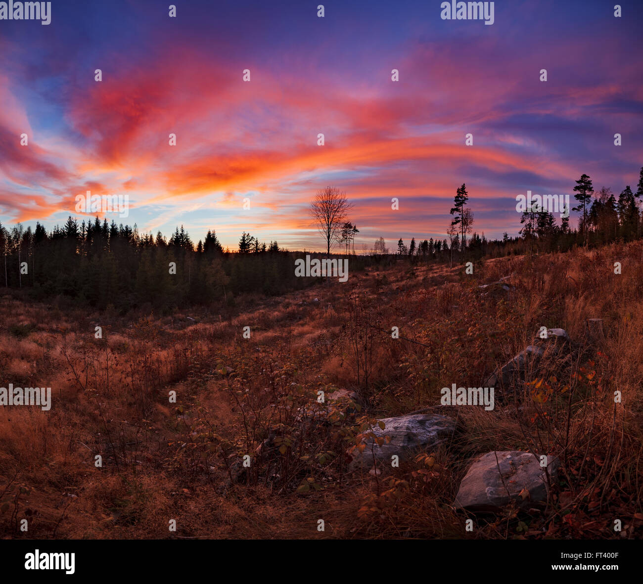 Beautiful vibrant sunset clouds landscape in finland Stock Photo - Alamy