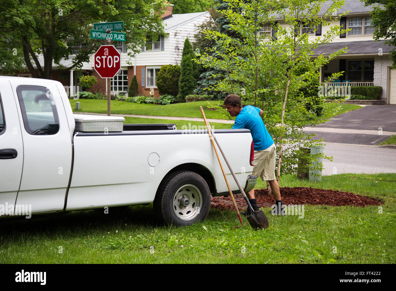 Landscaping landscaper hi-res stock photography and images - Alamy