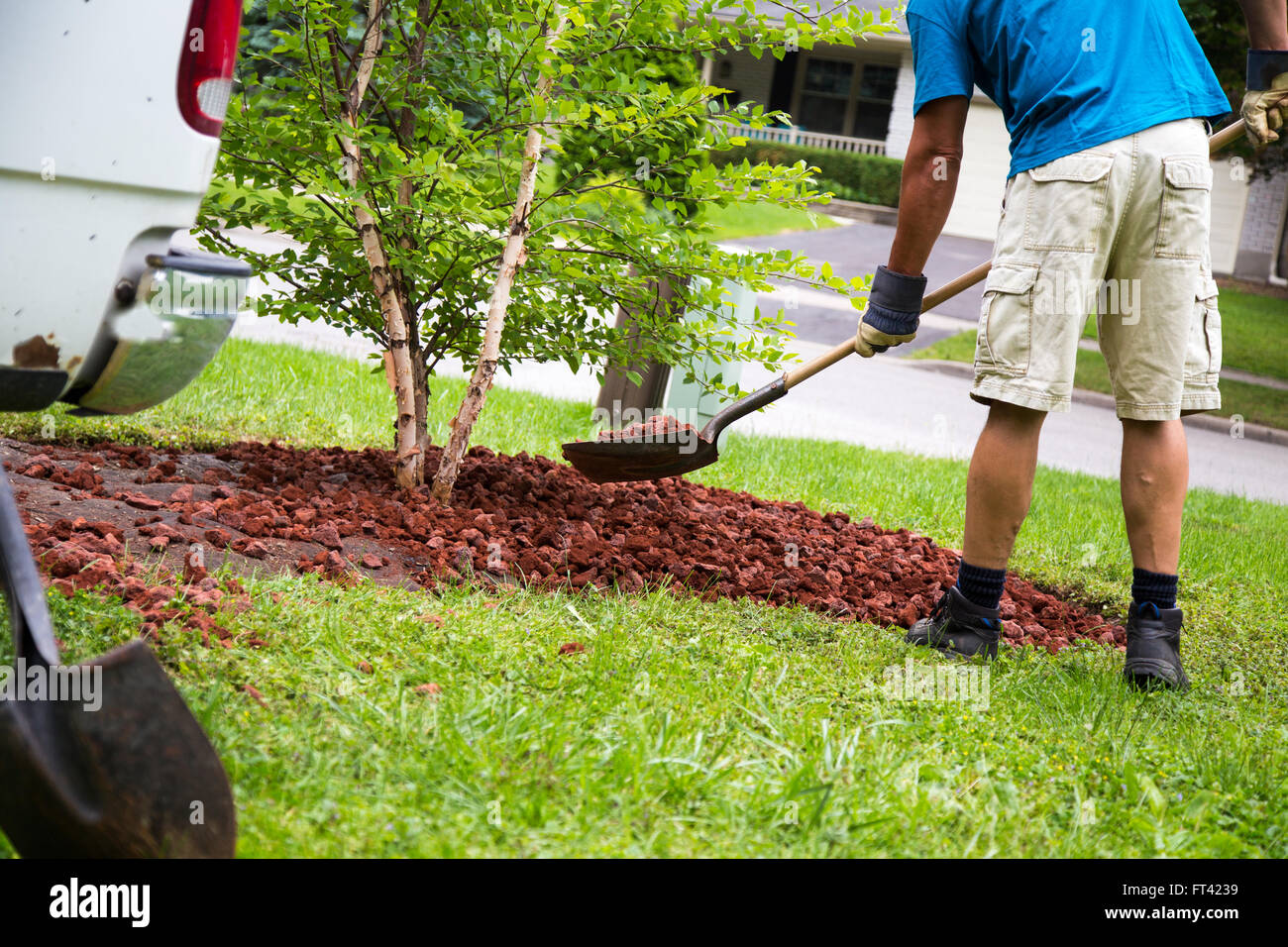 People Doing Yard Work