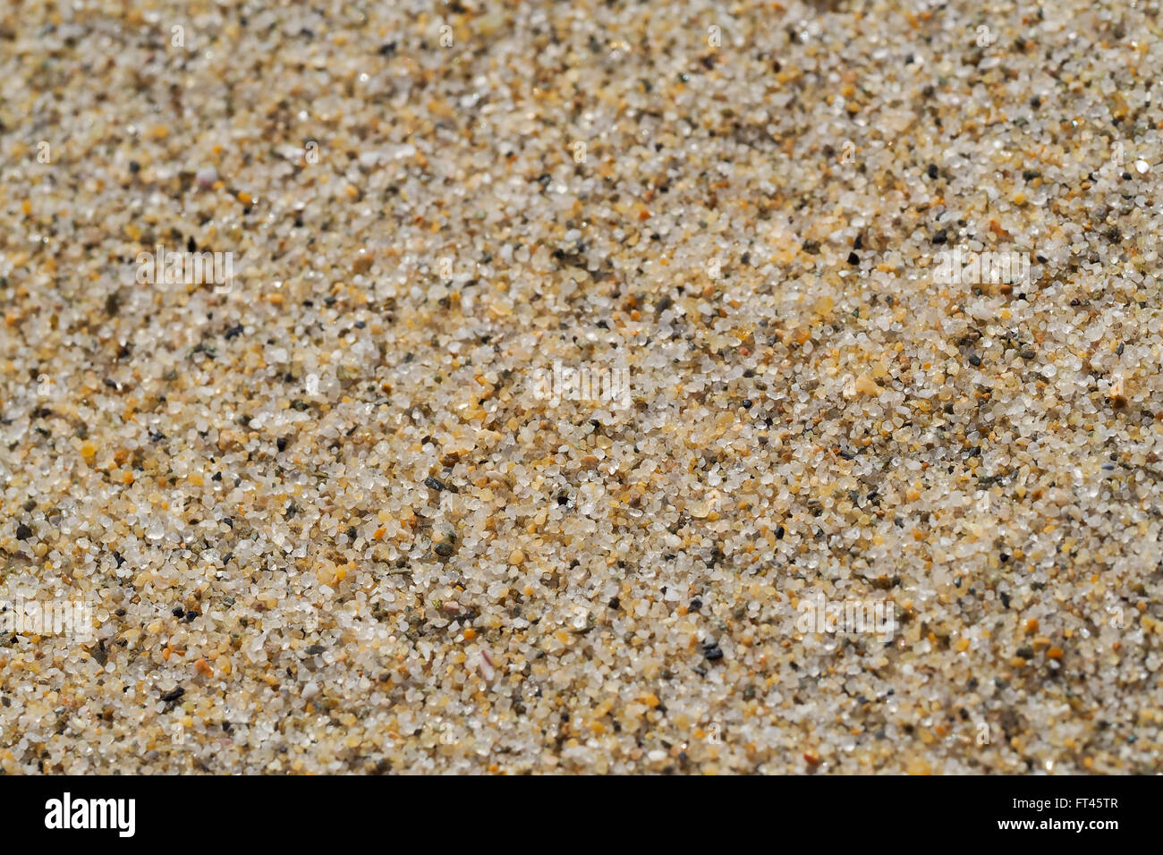 Texture Sand Grains Stock Photo - Alamy