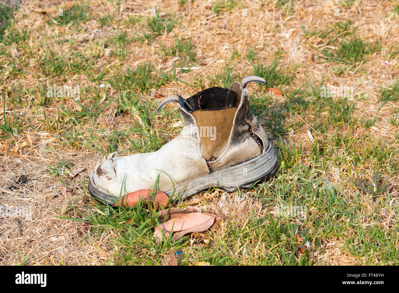 Leather rot hi-res stock photography and images - Alamy