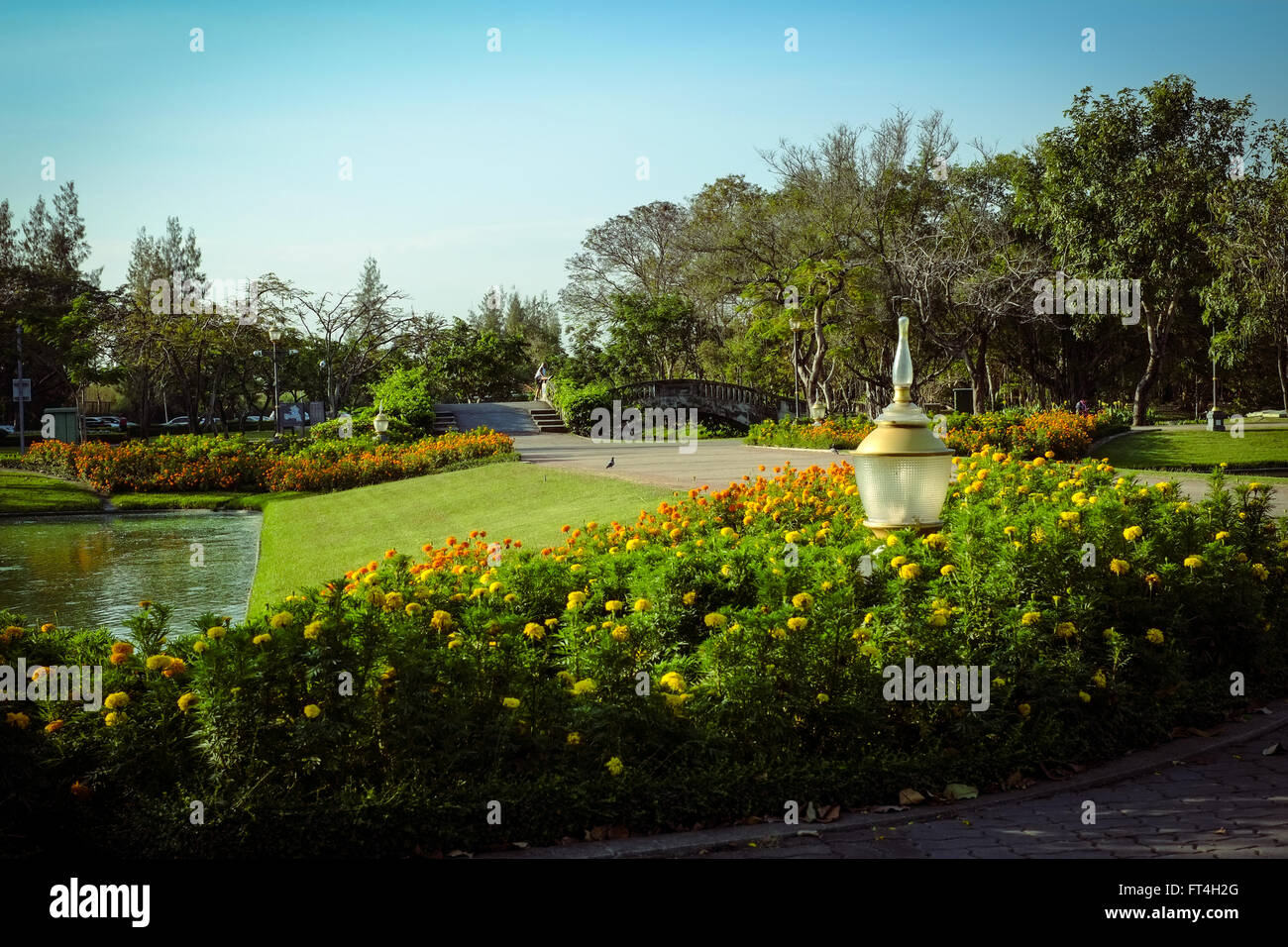 Beautiful park large lake hi-res stock photography and images - Alamy