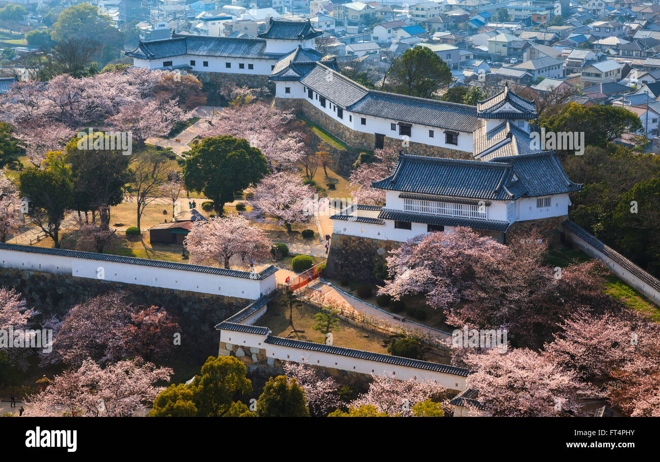 Himeji Castle in spring cherry blossom season, Hyogo, Japan Stock Photo ...