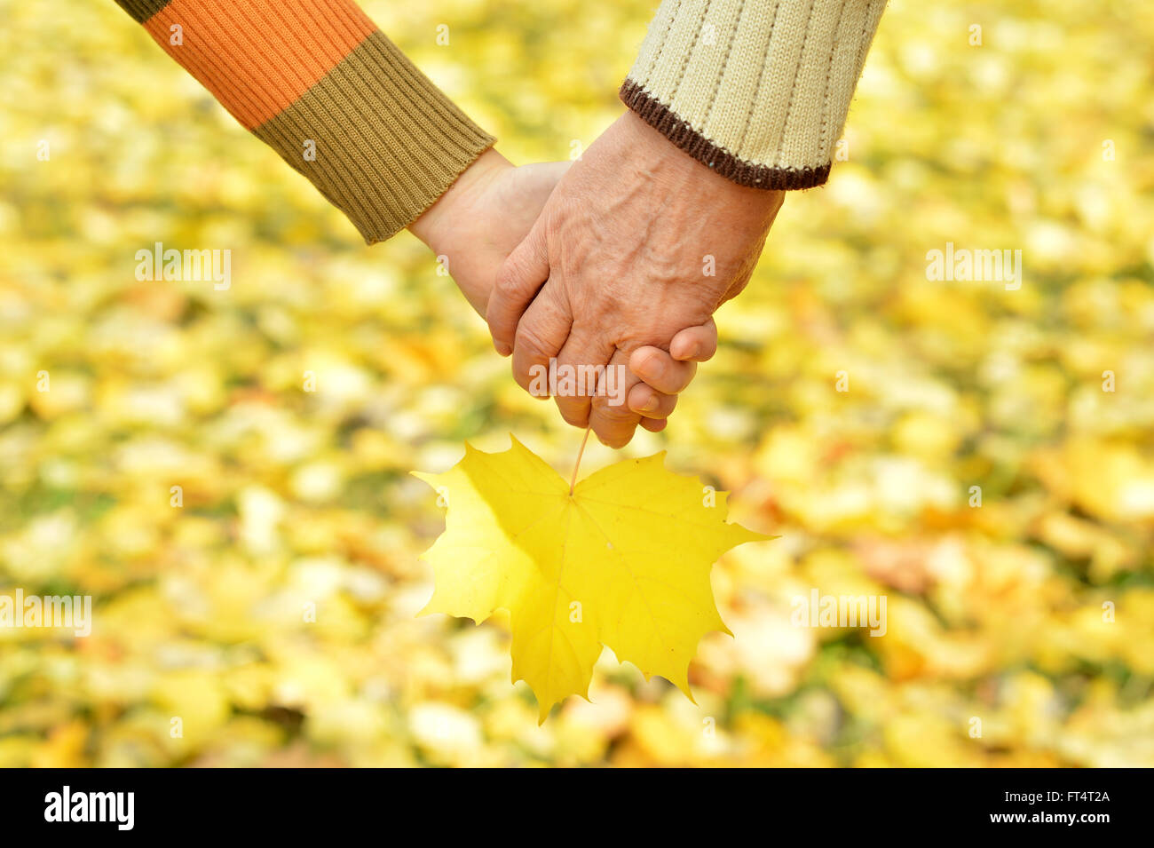Hands against fallen leaves Stock Photo - Alamy