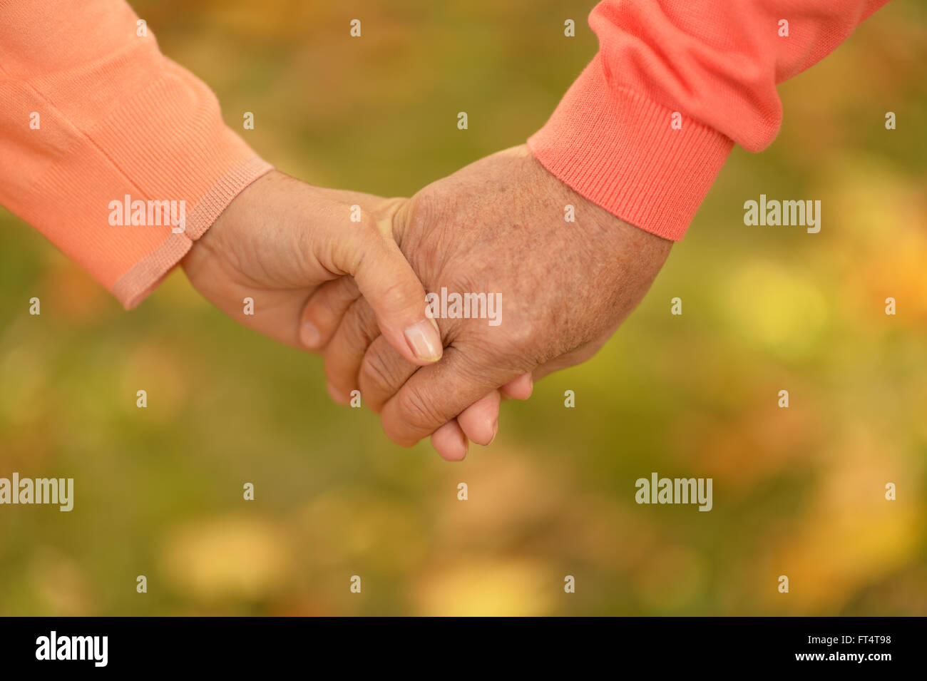 Hands held together Stock Photo - Alamy