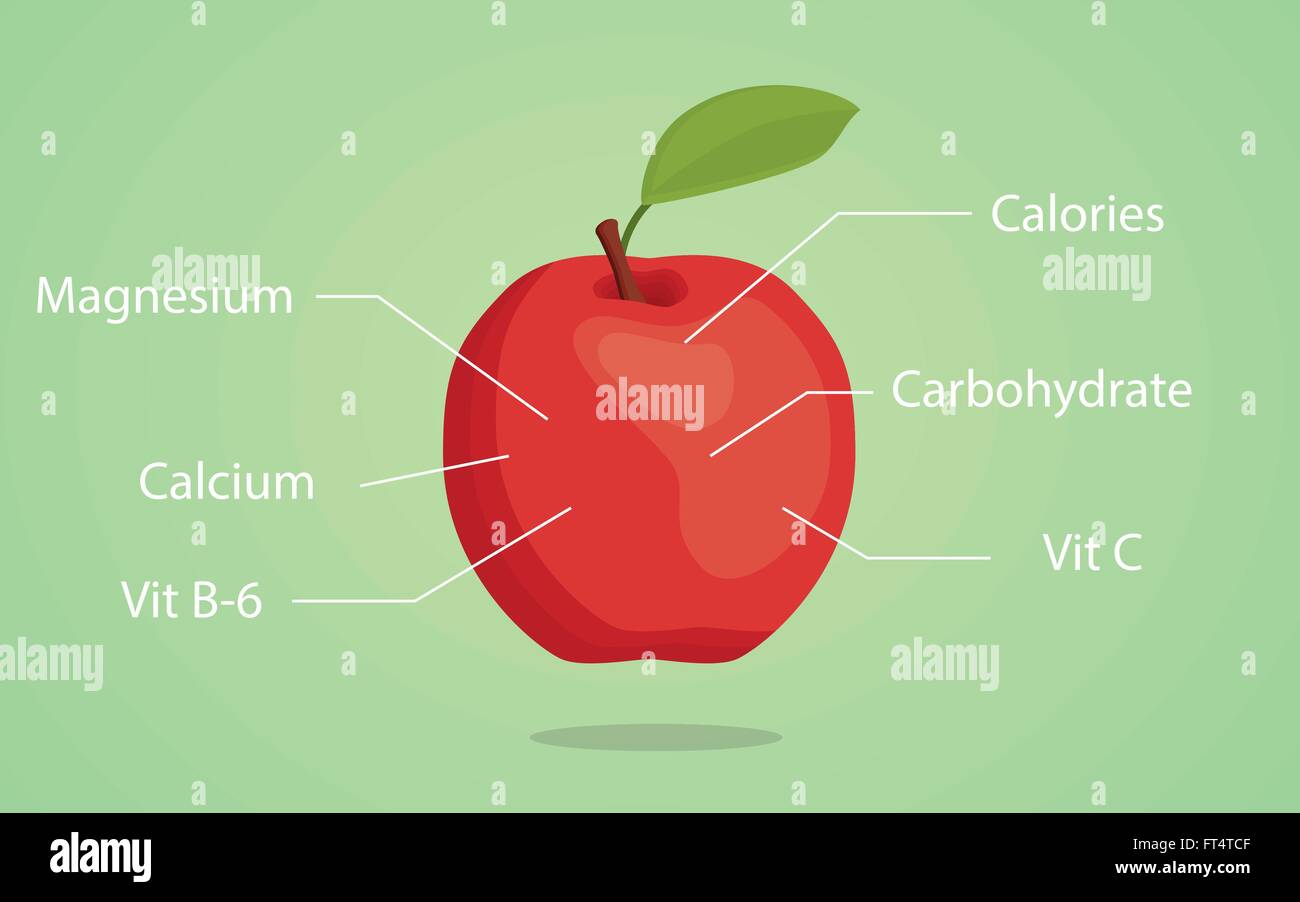 apple nutrition illustration with list of nutritions detail Stock ...