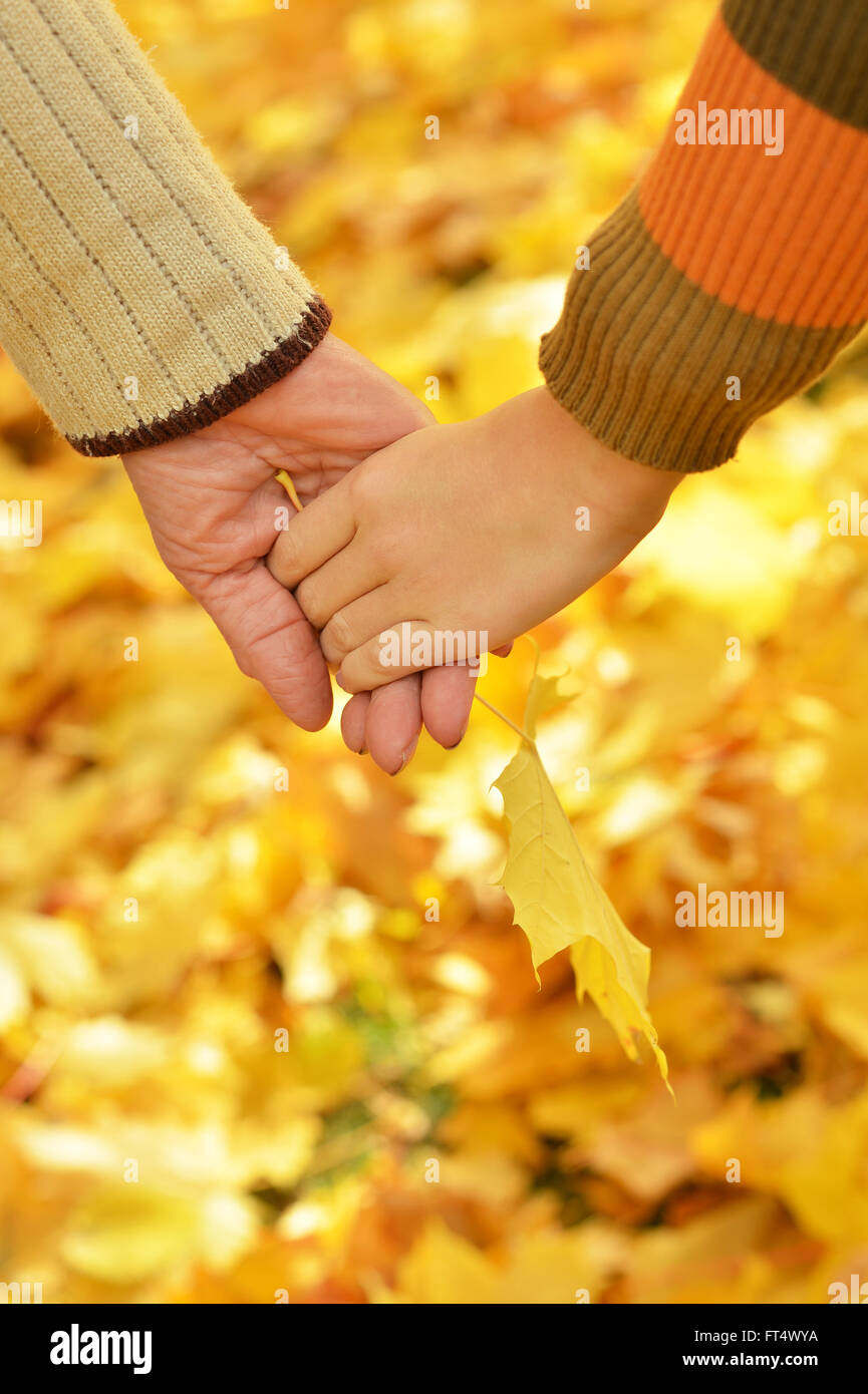 Hands against fallen leaves Stock Photo - Alamy