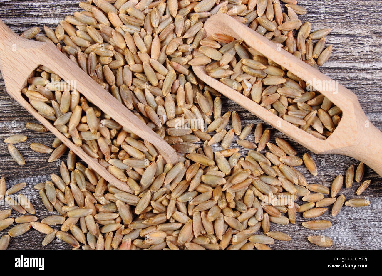 Heap of organic whole rye grain with wooden spoon lying on wooden ...