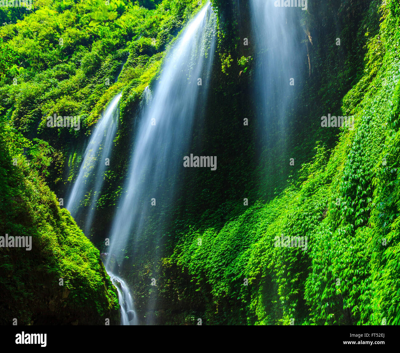 Madakaripura Waterfall, East Java, Indonesia Stock Photo - Alamy