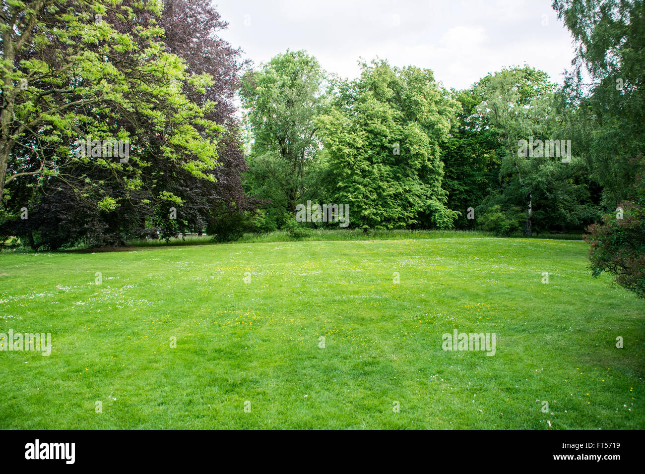 lawn surround by trees Stock Photo - Alamy