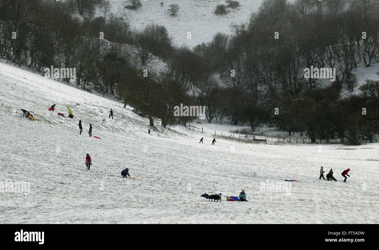 Sledge sleigh South Downs National Park in winter snow Stock Photo - Alamy