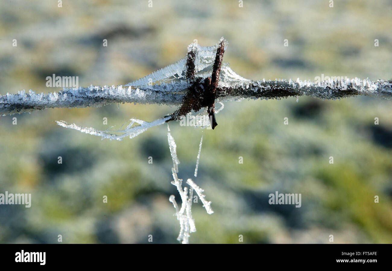 Freezing cobwebs hi-res stock photography and images - Alamy