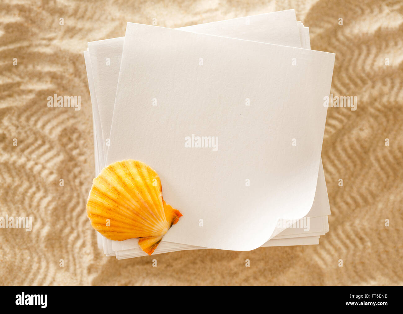 Blank white paper and seashell in sand closeup Stock Photo - Alamy