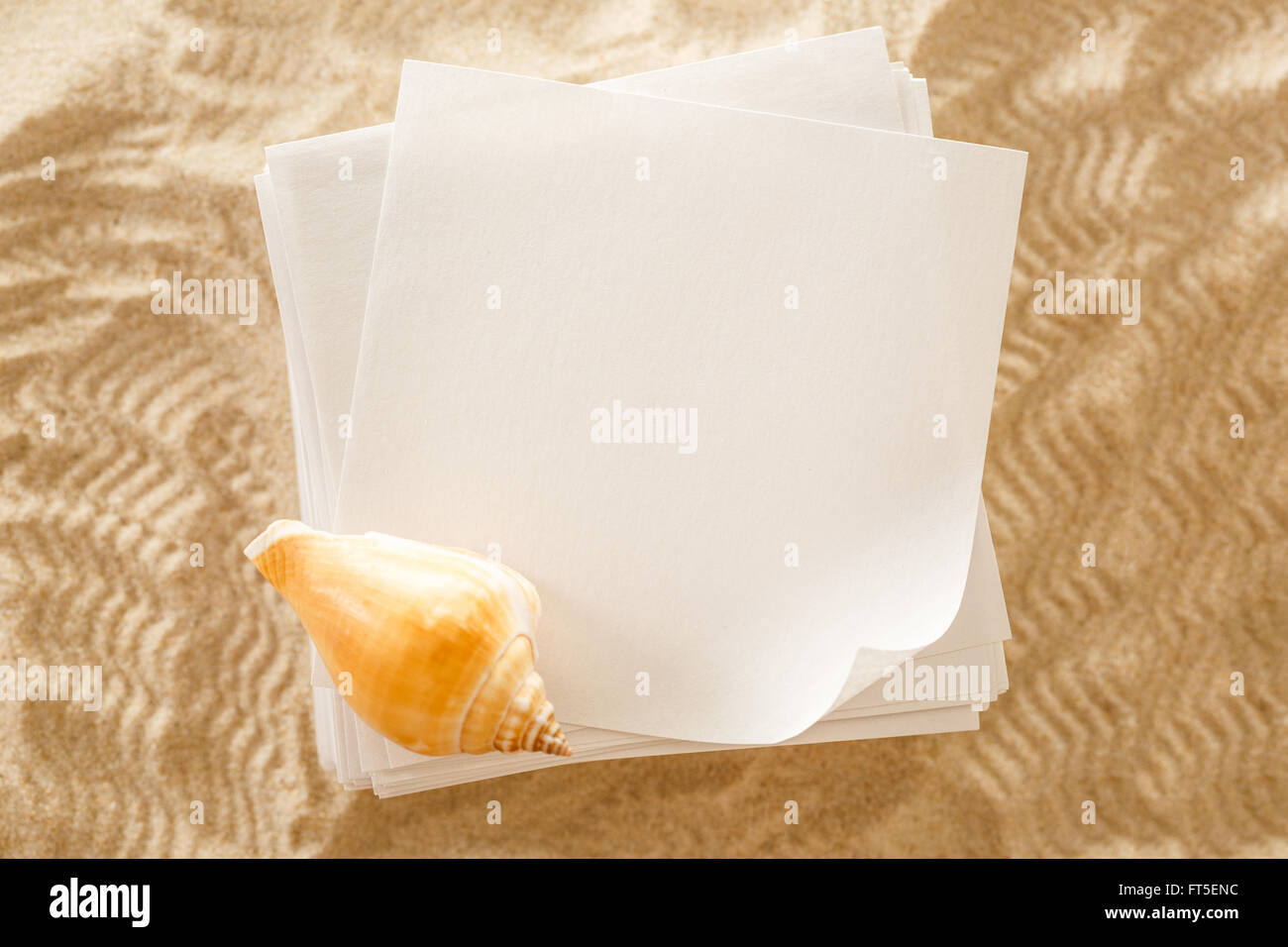 Seashell in sand hi-res stock photography and images - Alamy