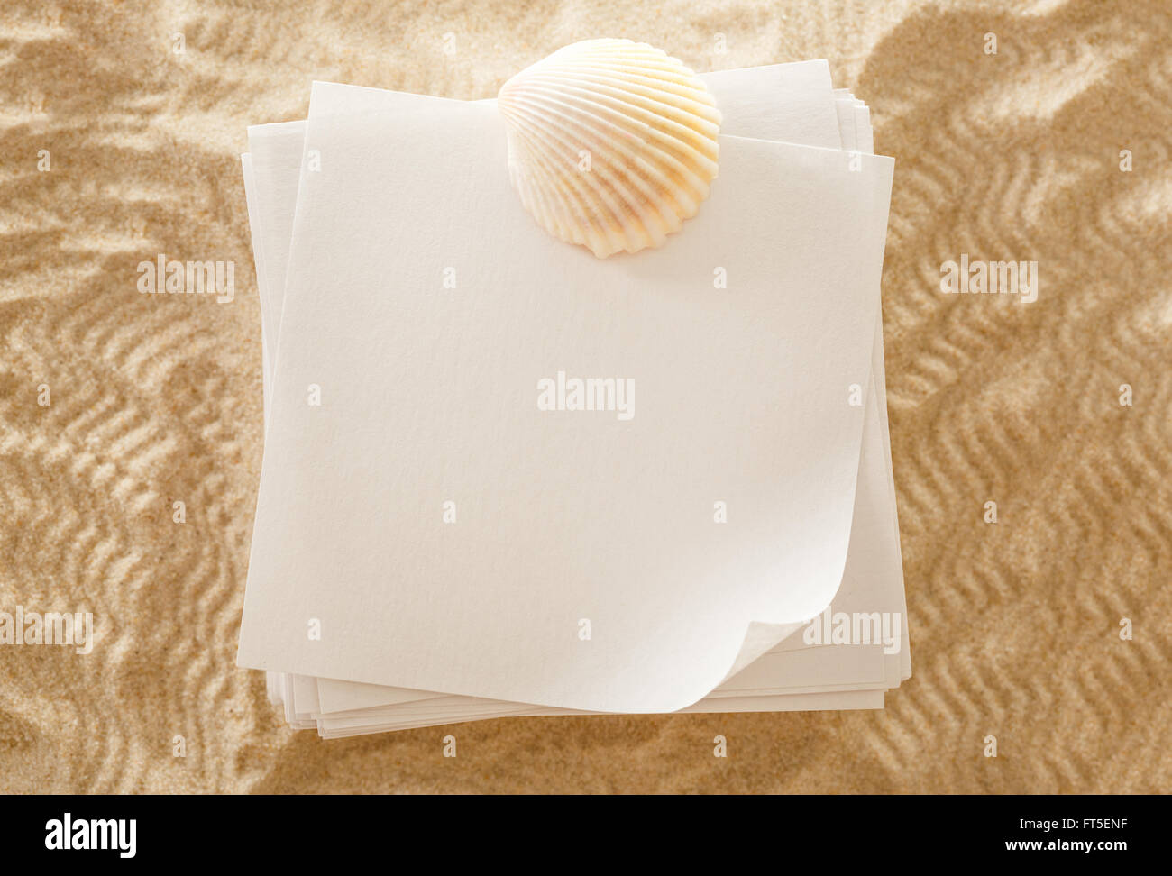 Blank white paper and seashell in sand closeup Stock Photo - Alamy