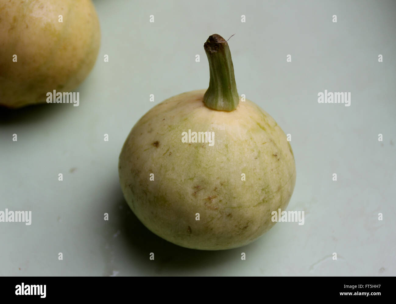 Pusa hi-res stock photography and images - Alamy