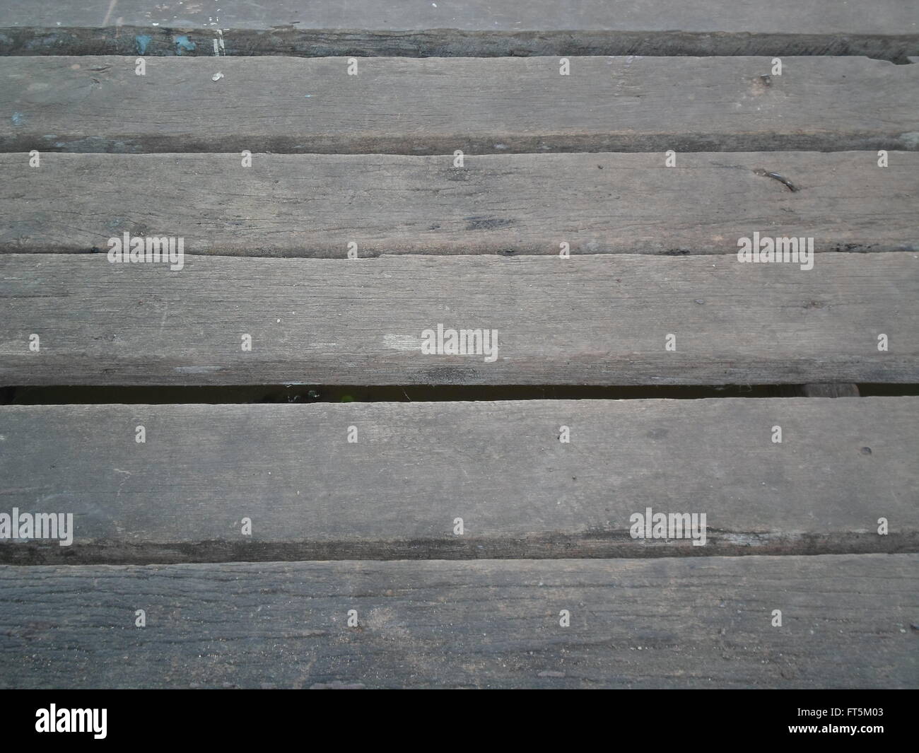 Wallpaper, wood floors, natural black. Arranged in a horizontal plate ...