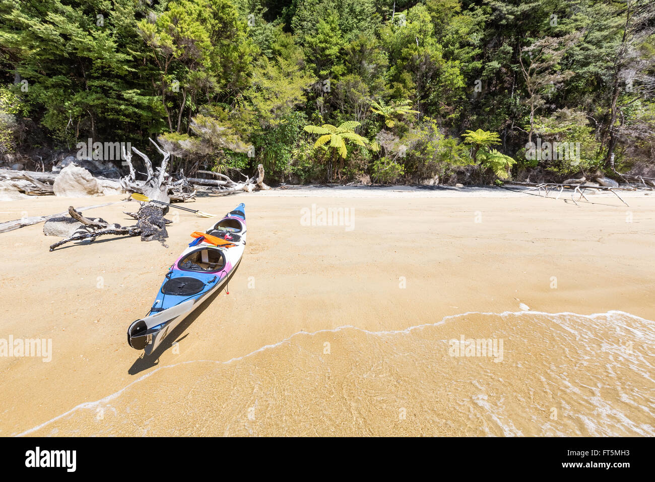 Abel Tasman national park, South Island, New Zealand Stock Photo - Alamy