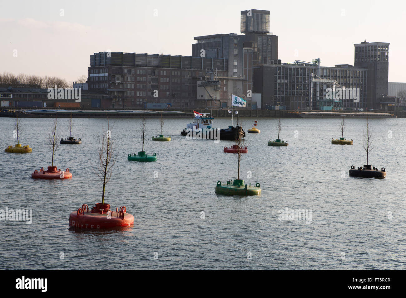Floating forest rotterdam hi-res stock photography and images - Alamy