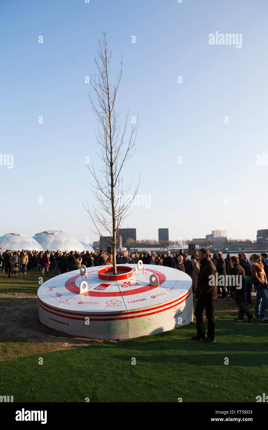 Bobbing forest rotterdam hi-res stock photography and images - Alamy