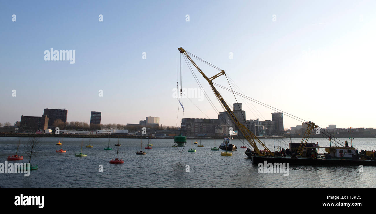 Floating forest rotterdam hi-res stock photography and images - Alamy