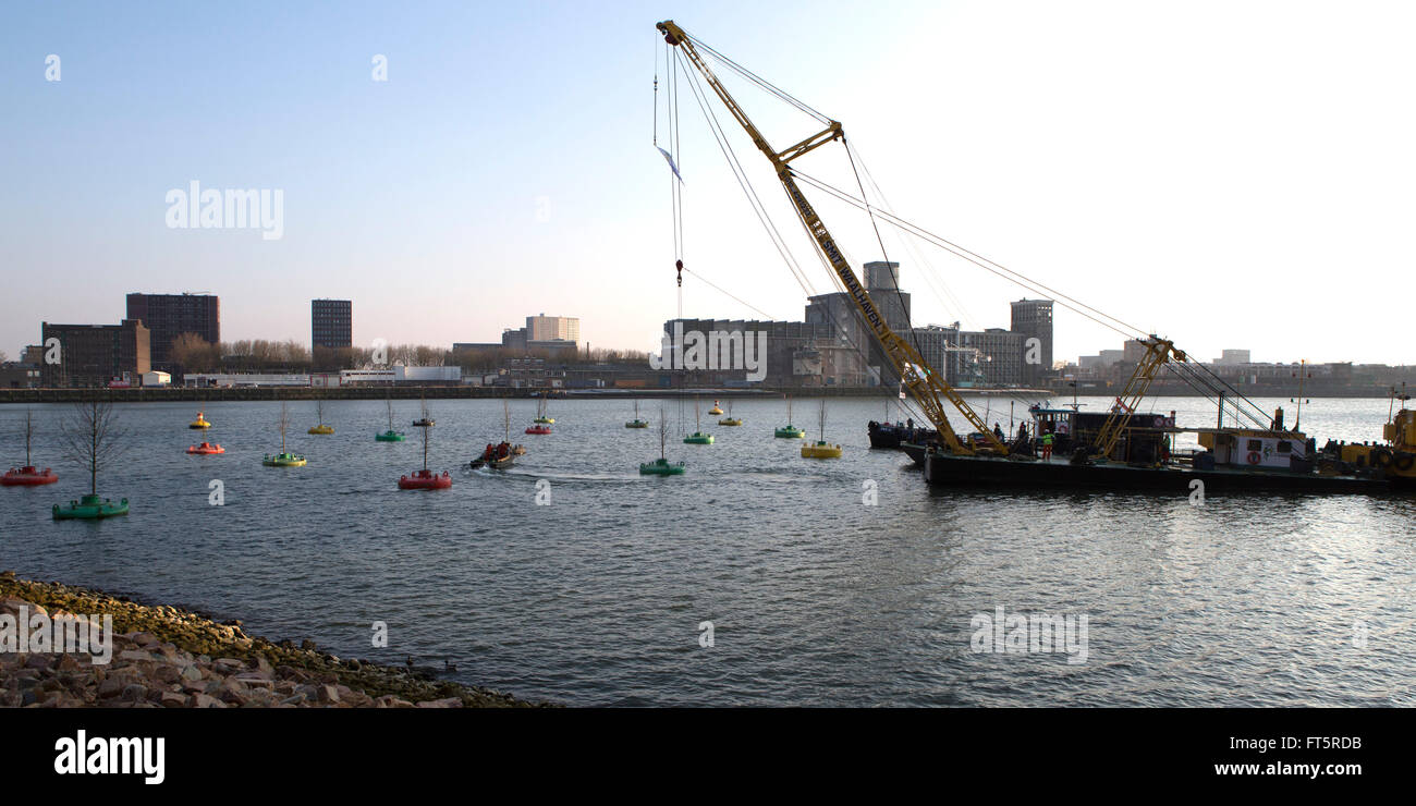 Floating forest rotterdam hi-res stock photography and images - Alamy