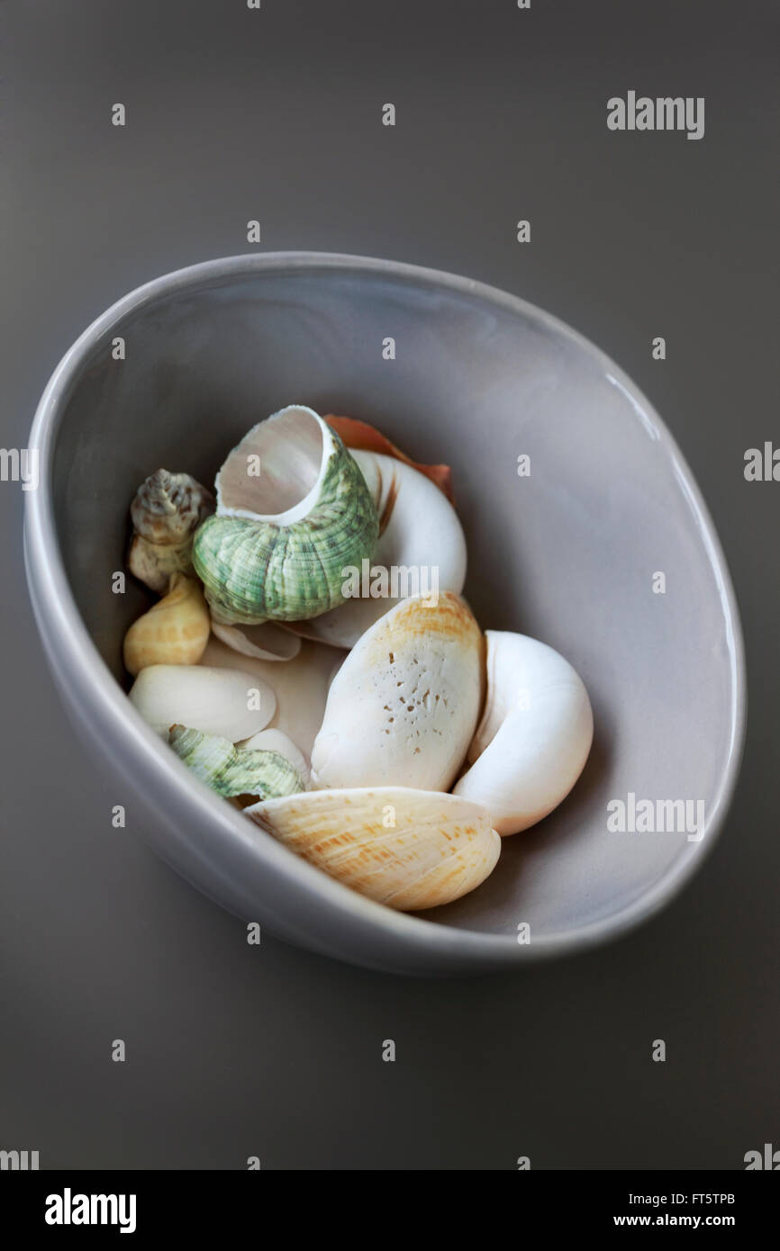 Decorative shells in a porcelain bowl on a table Stock Photo - Alamy