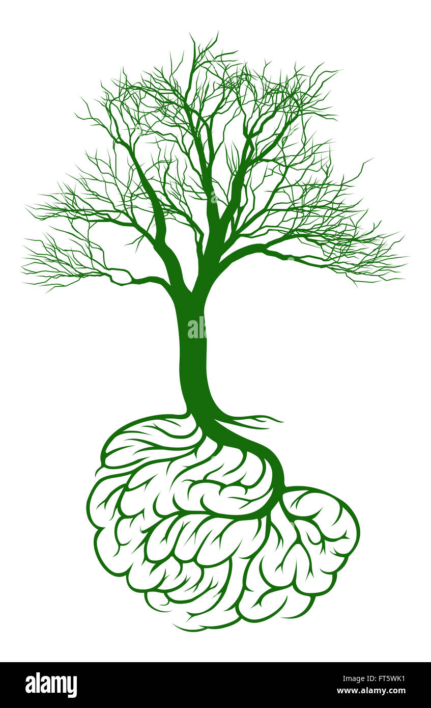 A tree growing from rooots shaped like a human brain Stock Photo - Alamy