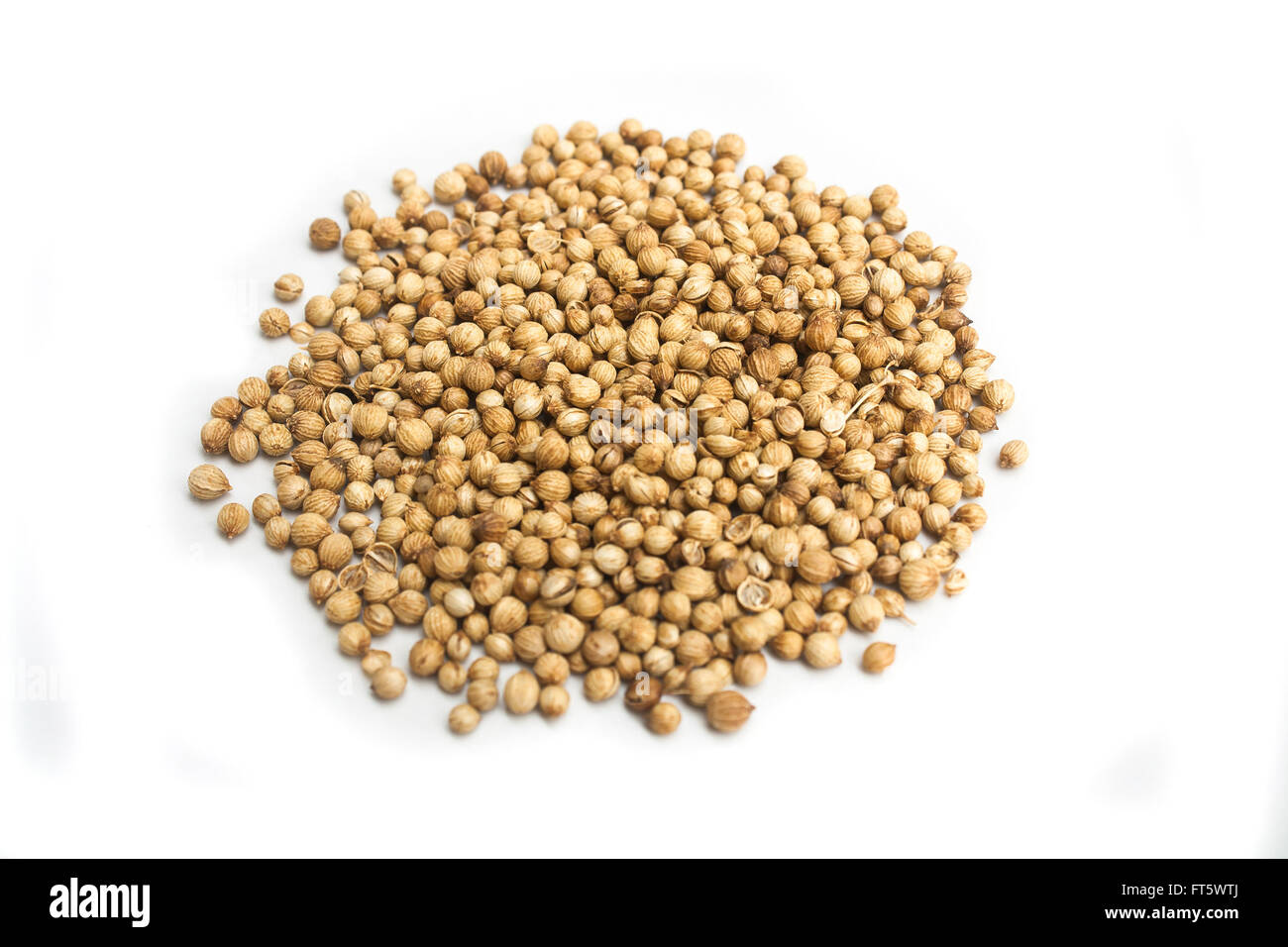 Pile of Coriander Seeds (Coriandrum sp.) Stock Photo Stock Photo - Alamy