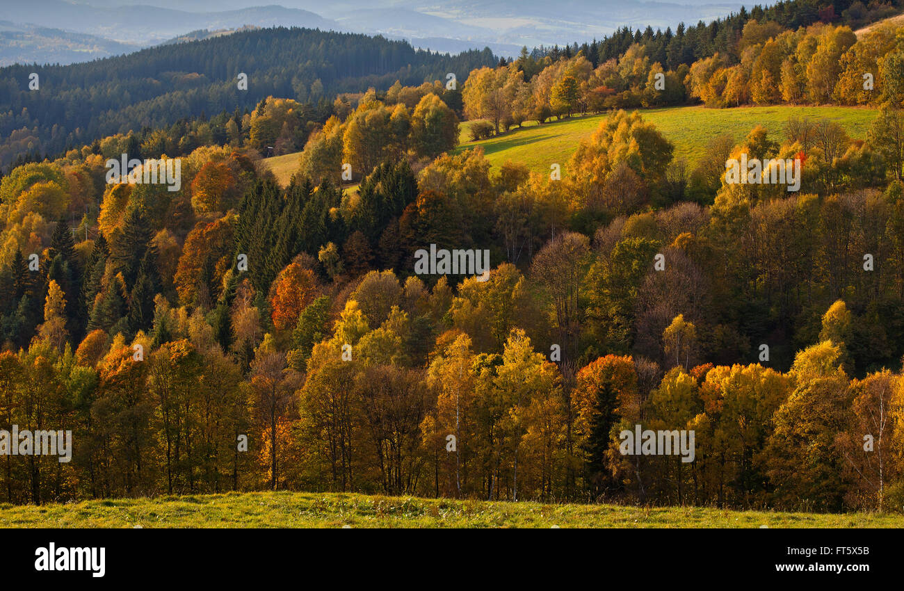 Sumava forest hi-res stock photography and images - Alamy
