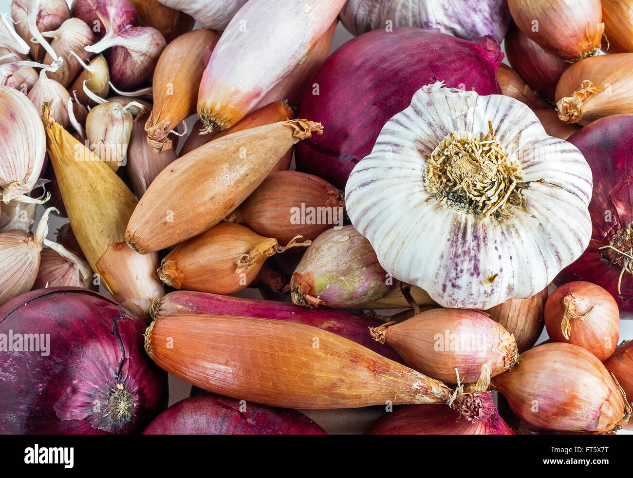 Different types of Onions and Garlic Stock Photo - Alamy Different types of Onions and Garlic Stock Photo - Alamy