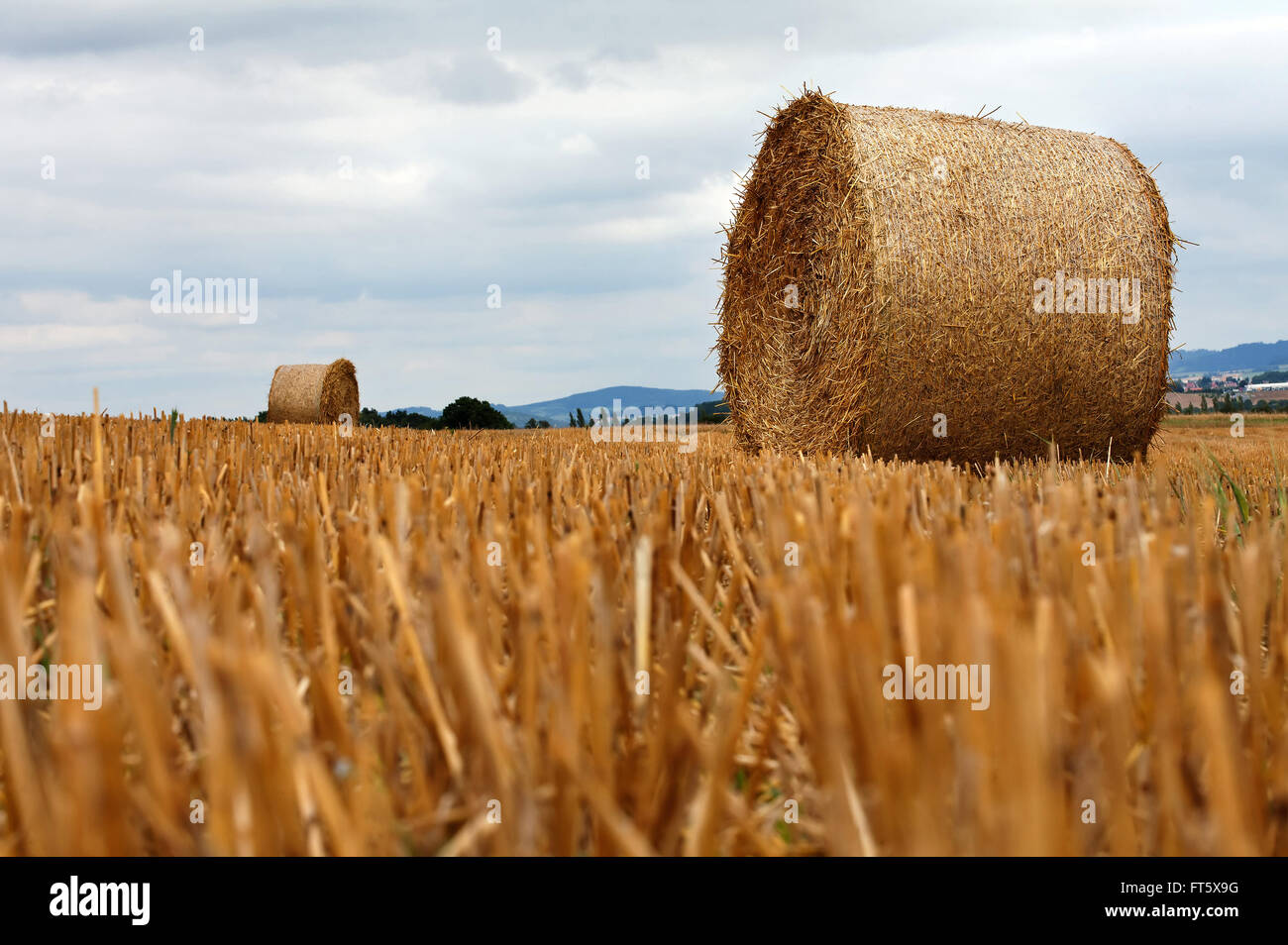 Straw ball hi-res stock photography and images - Alamy