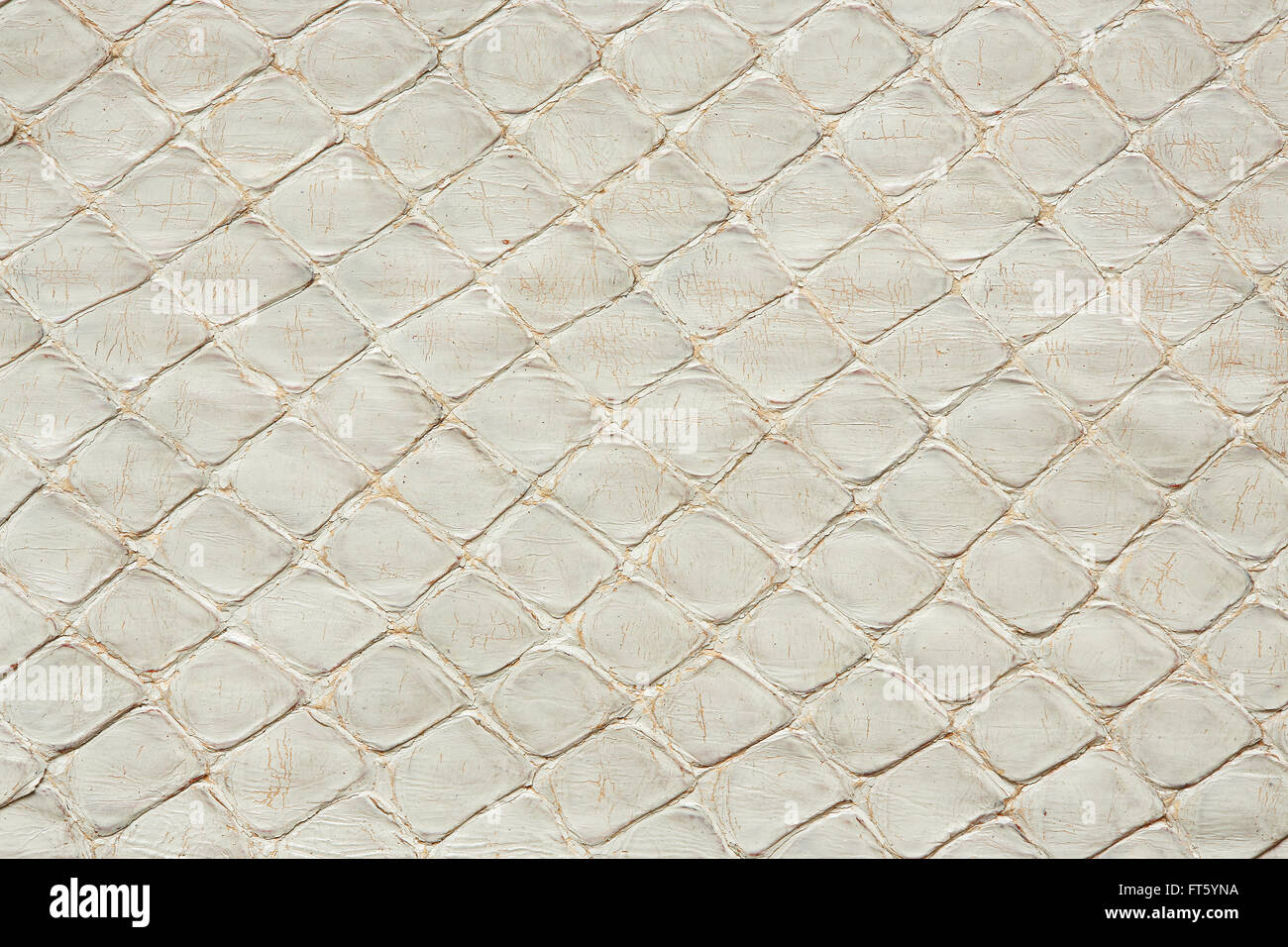 Skin of a snake as background Stock Photo - Alamy