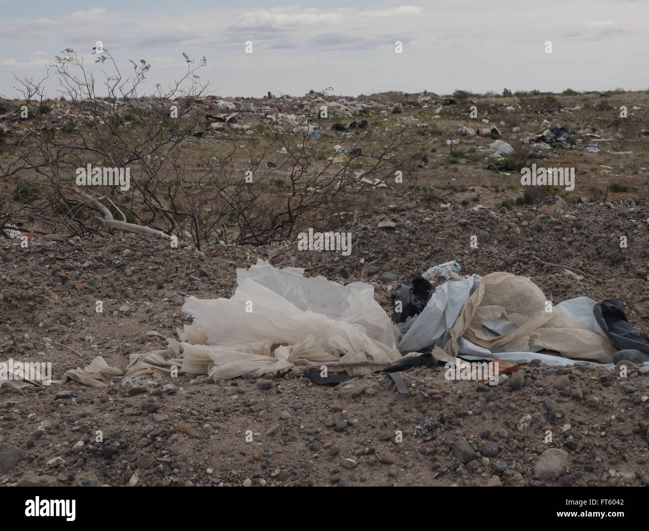 Holiday waste management hi-res stock photography and images - Alamy