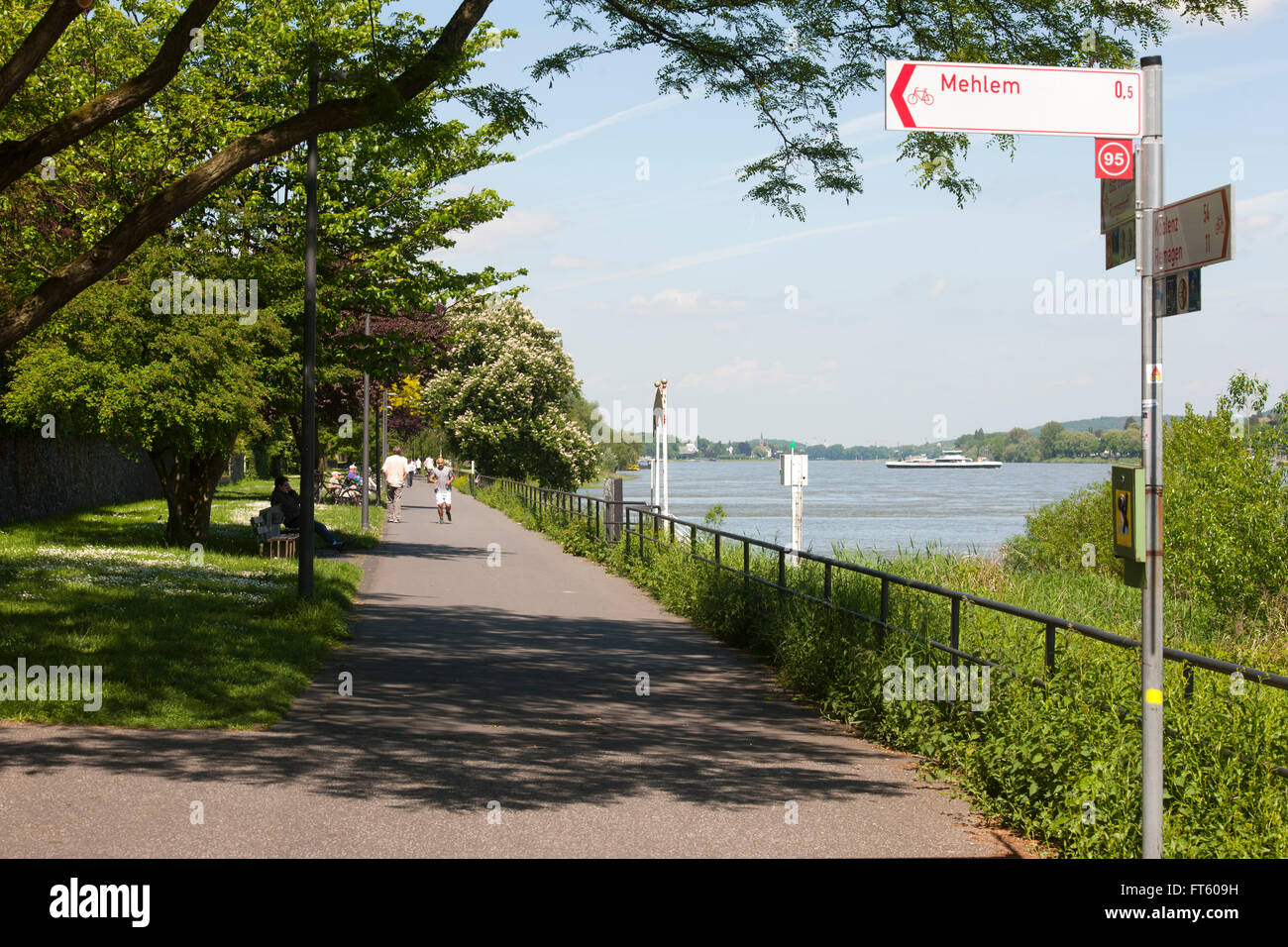 Jay baum hi-res stock photography and images - Alamy