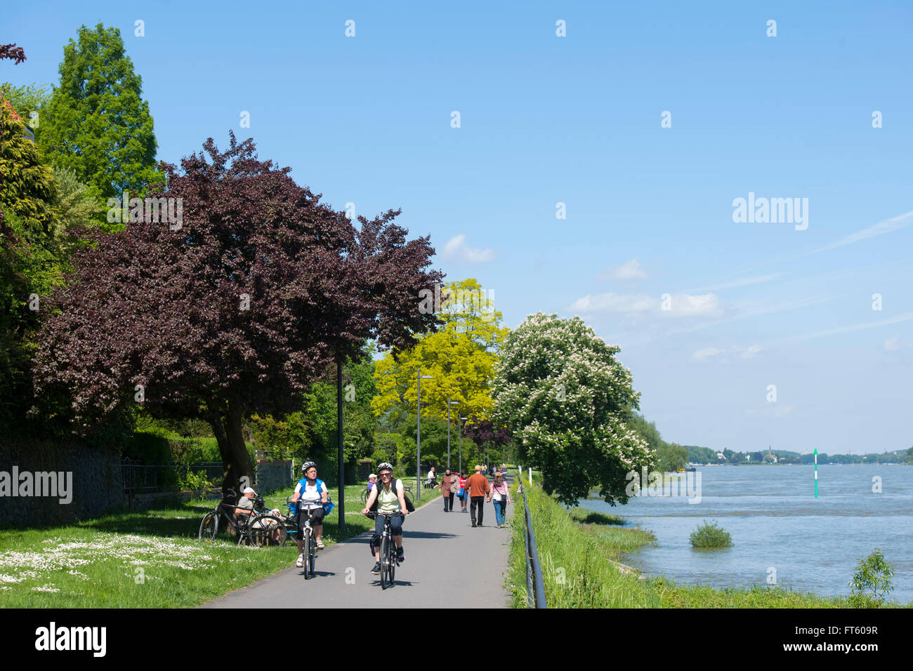Deutschland, Bonn, Bad Godesberg-Mehlem, John-Jay-McCloy-Ufer Stock ...