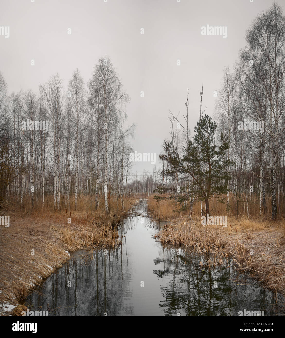 Frozen river in springtime hi-res stock photography and images - Alamy