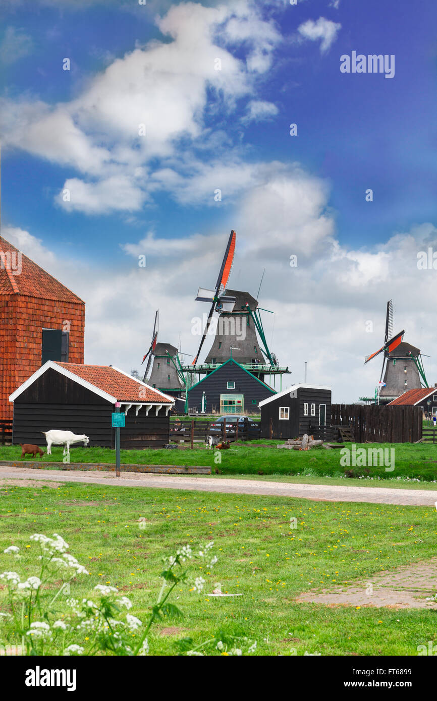 dutch windmills over river Stock Photo - Alamy