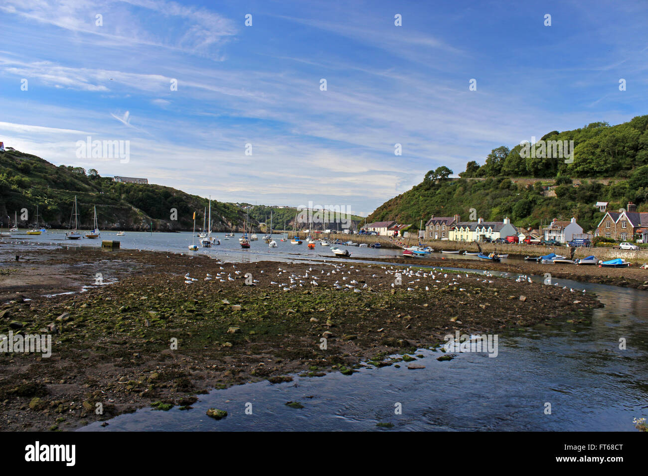 Fishgaurd Harbour in the lower town where river Gwaun meets the sea ...