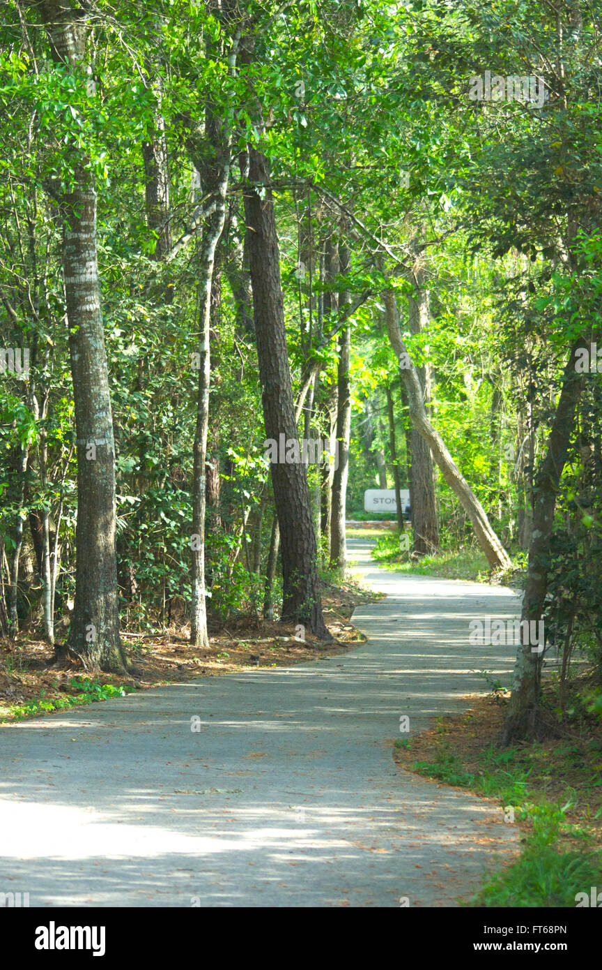 Path in the shade of trees hi-res stock photography and images - Alamy
