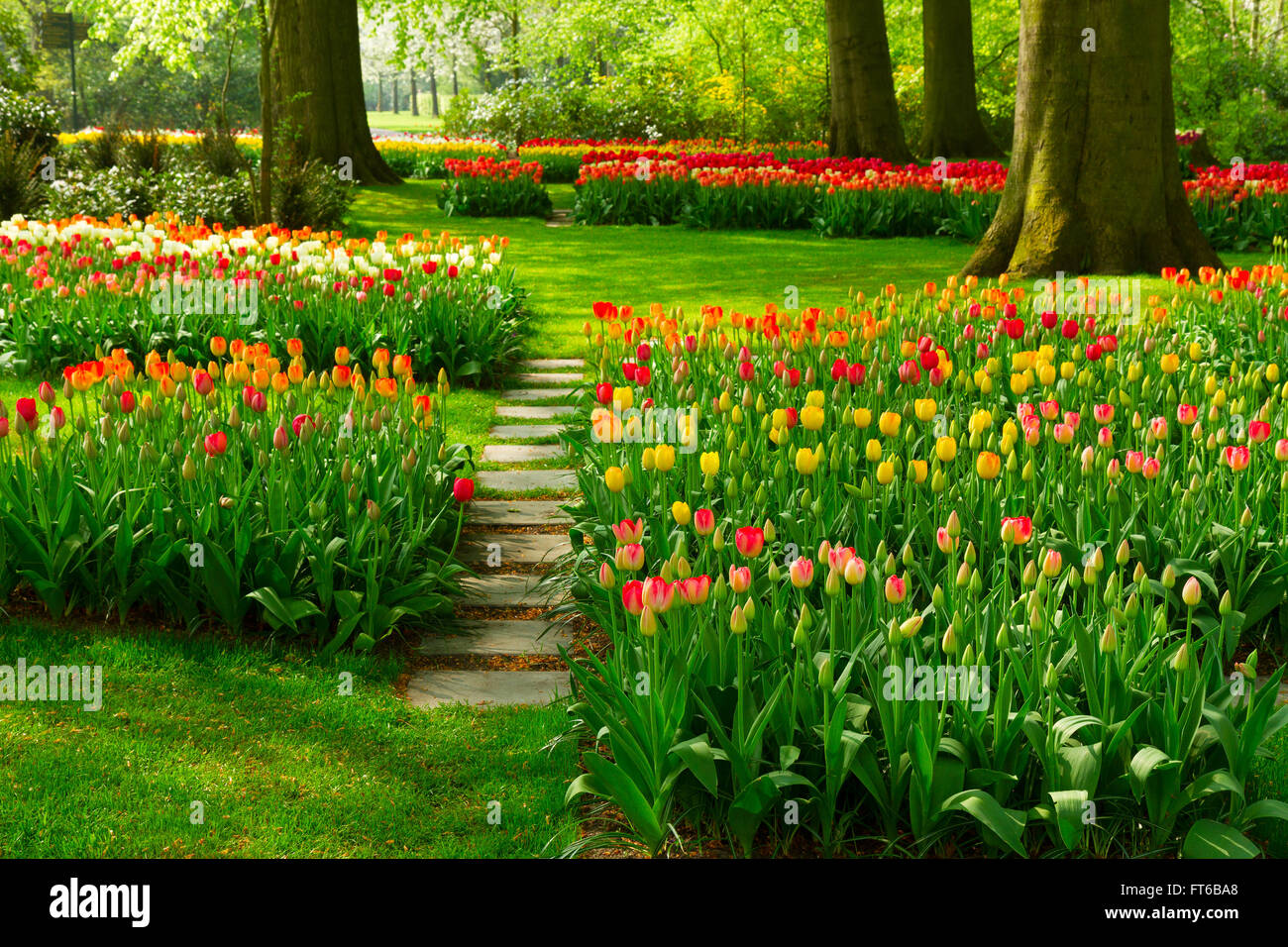 Stone path winding in a garden Stock Photo - Alamy