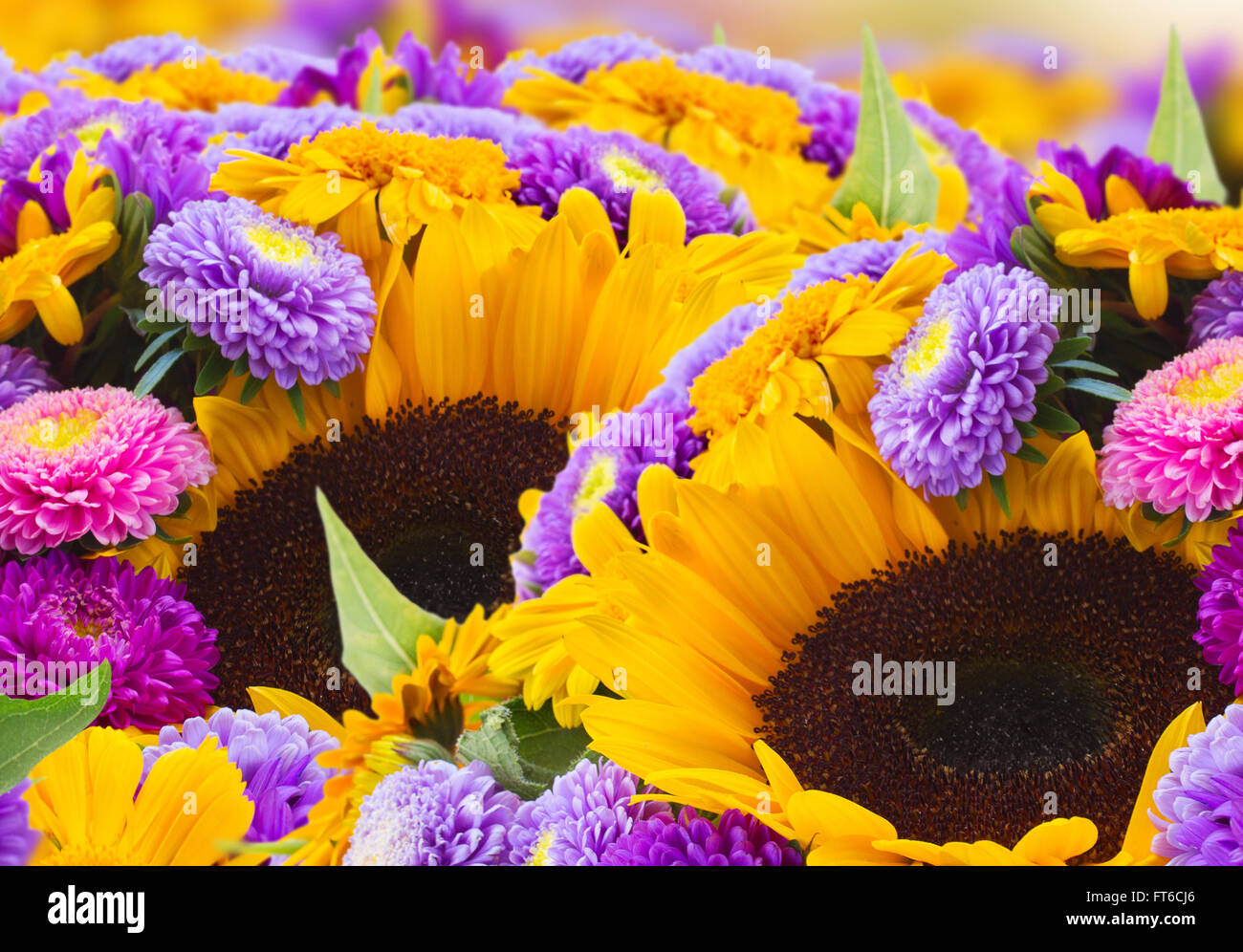 Mixed autumn flowers hi-res stock photography and images - Alamy