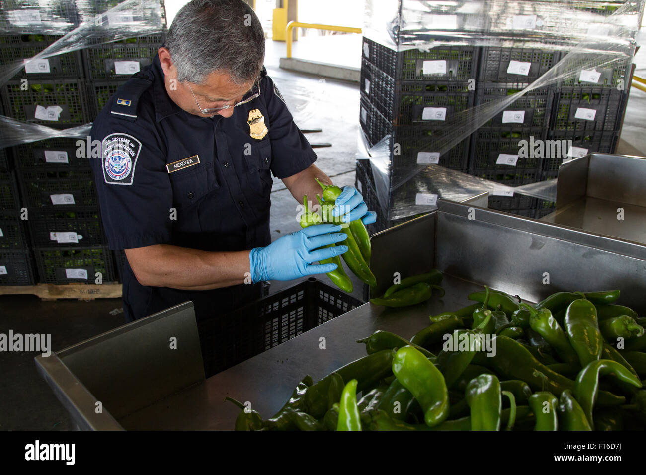 A U.S. Customs and Border Protection (CBP) Agriculture Specialist ...