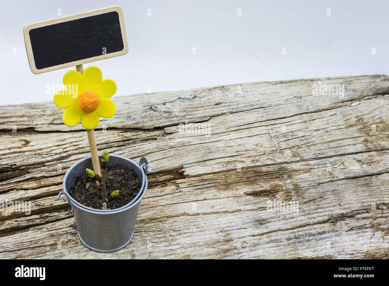Panel floral hi-res stock photography and images - Alamy