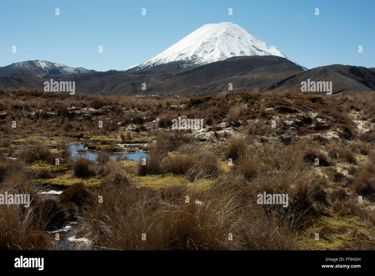 Impressive stratovolcano Ngauruhoe is the youngest of the active ...