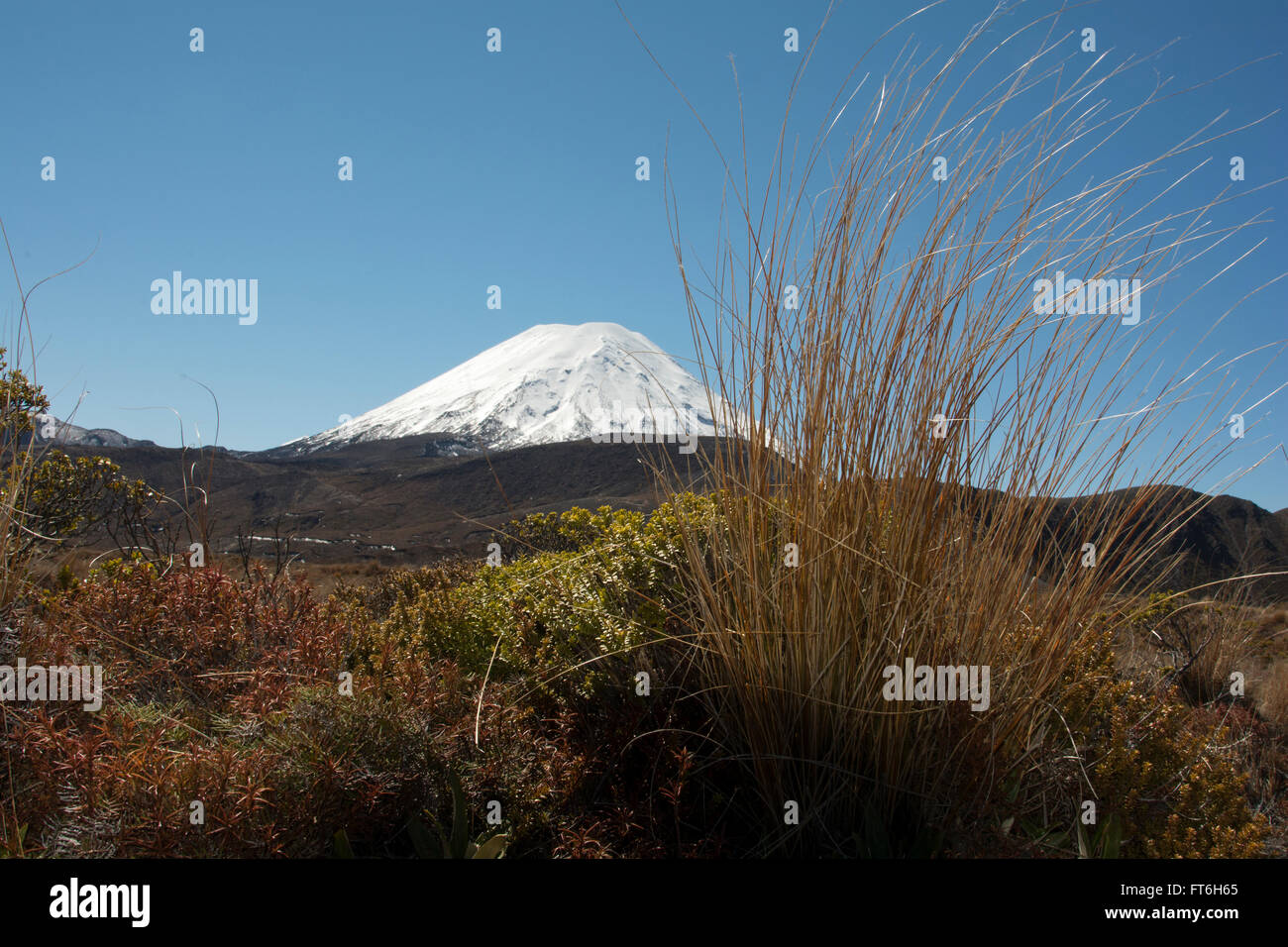 Impressive stratovolcano Ngauruhoe is the youngest of the active ...