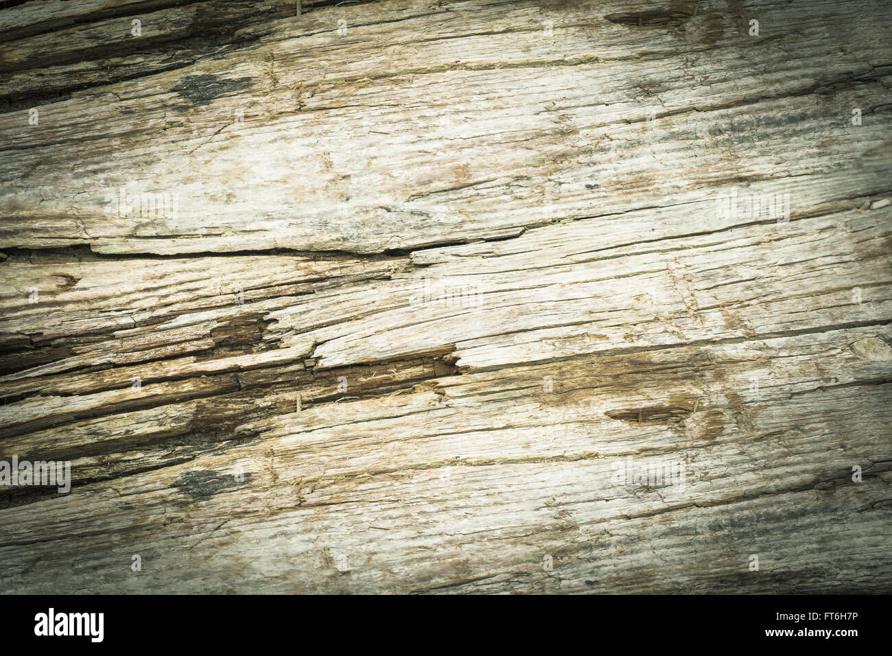 Wood texture form Stock Photo - Alamy