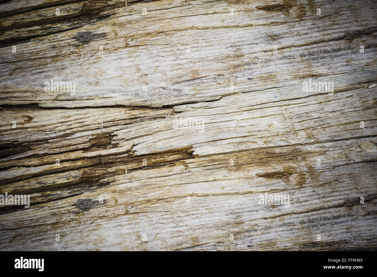 Texture textured form hi-res stock photography and images - Alamy